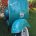 Vespa v50 R im Originallack Turchese 240